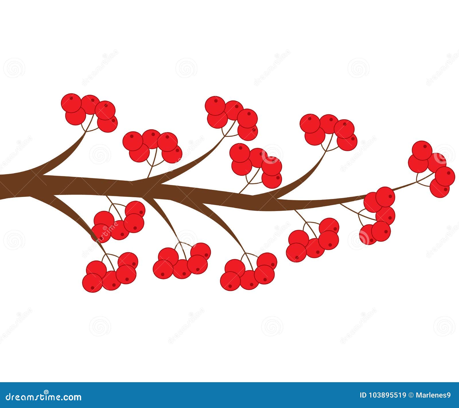 Vector Tree Branch with Red Berries Stock Vector - Illustration of flat ...