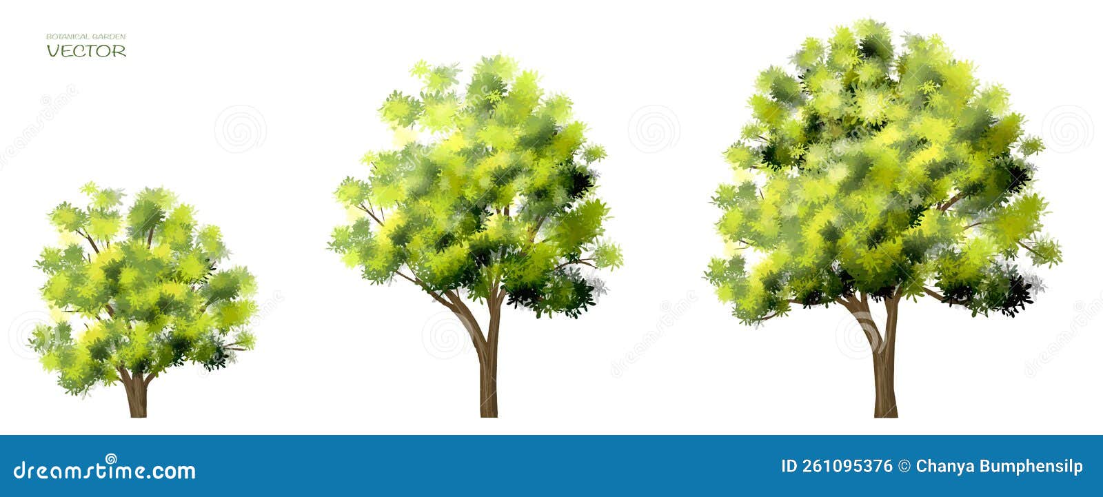Vector Tree or Forest Side View Isolated on White Background for ...