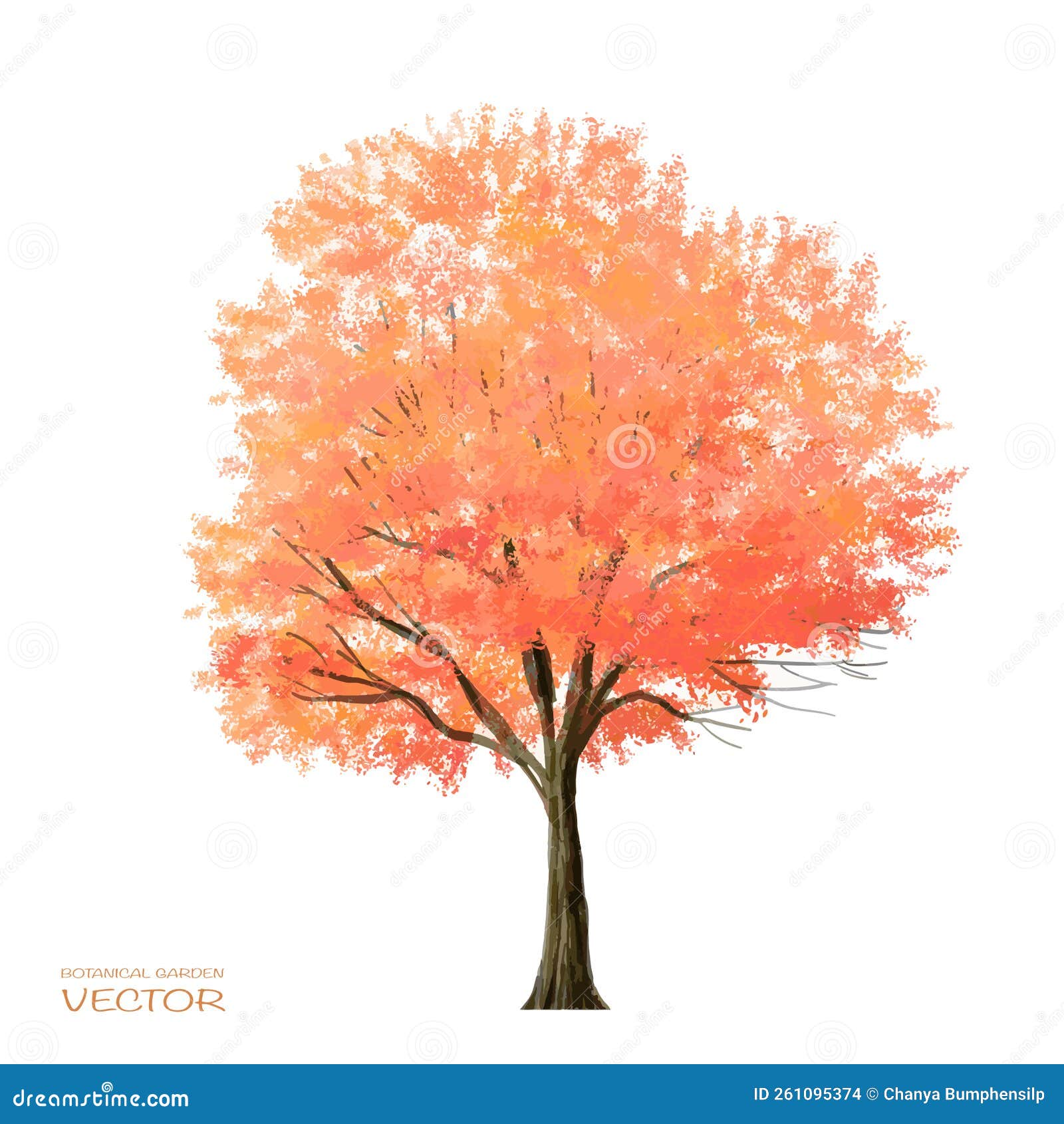 Vector Tree or Forest Side View Isolated on White Background for ...