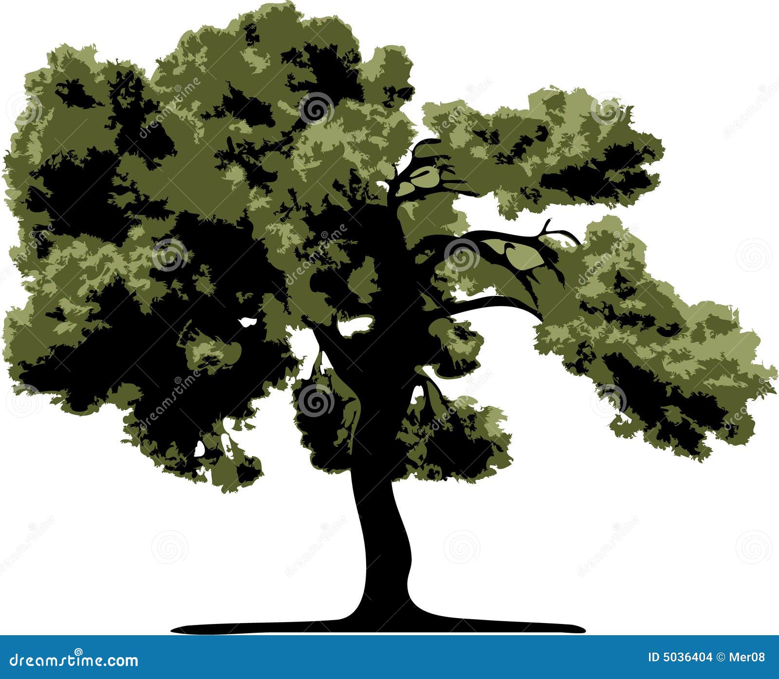 Vector Tree Isolated stock vector. Illustration of plant - 5036404