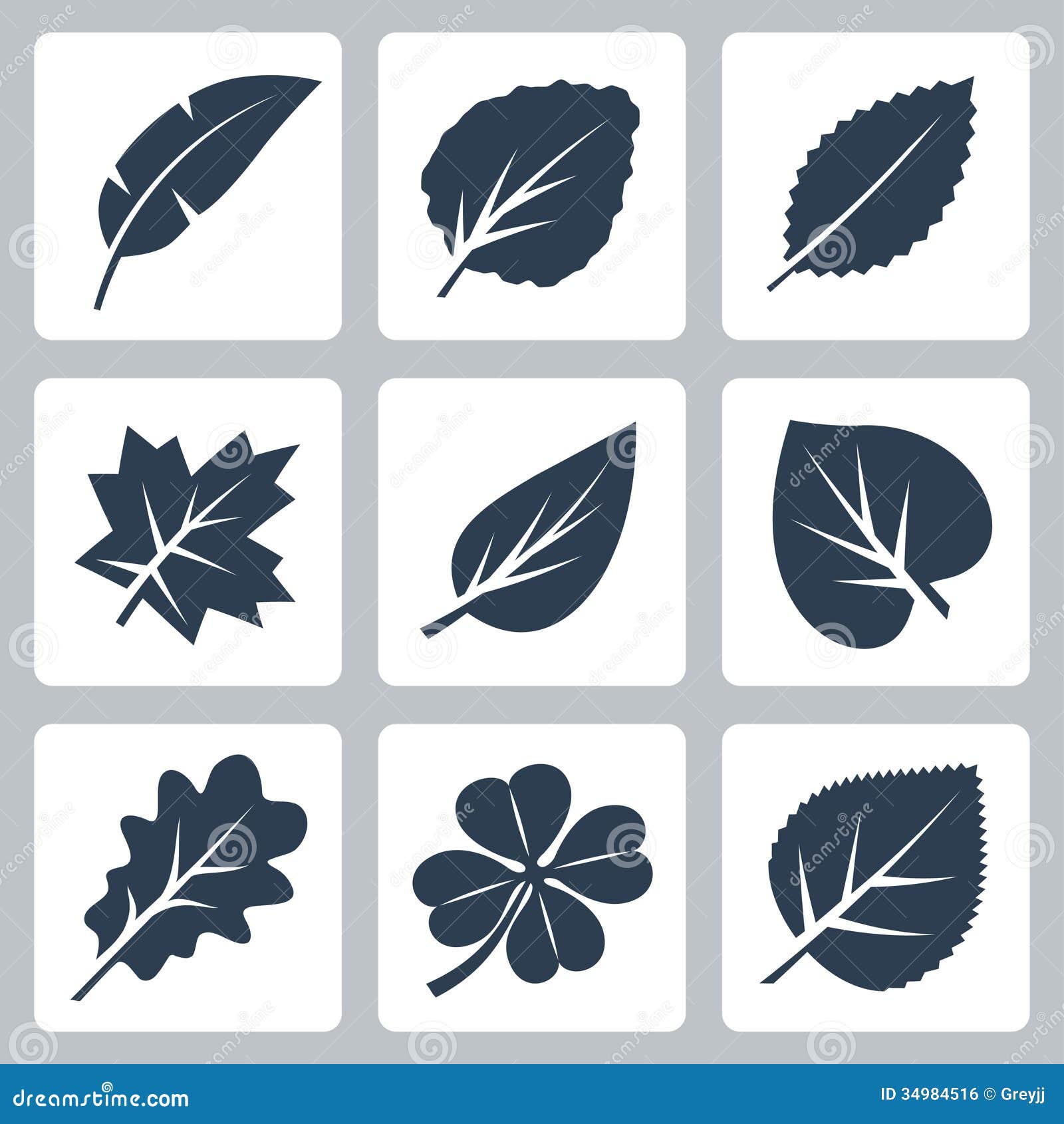 Vector Tree Leaves Icons Set Stock Vector - Illustration of natural ...