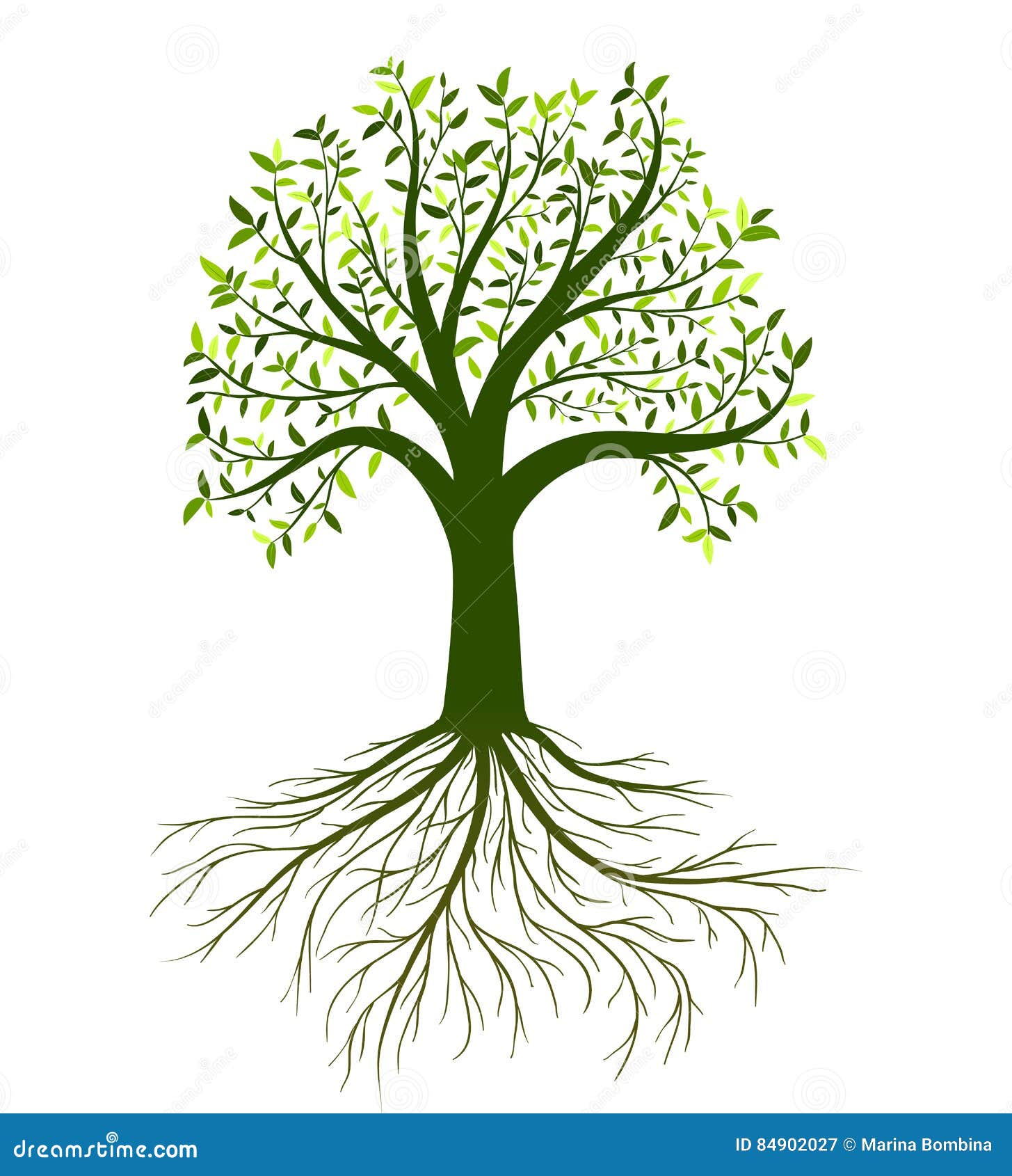 Vector Tree with Leaves and Roots on White Background Stock Vector ...