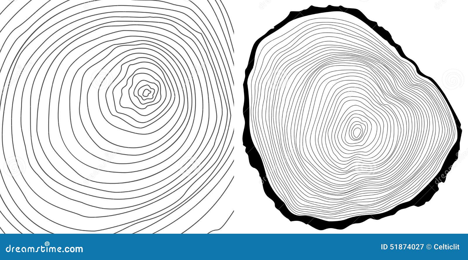 Tree Rings Vector