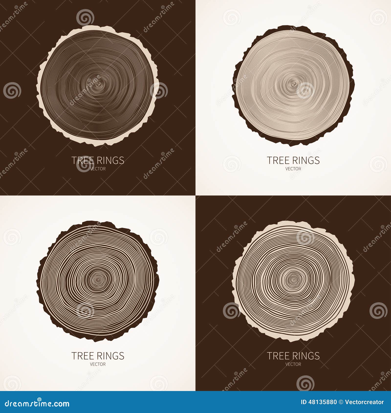 Tree Rings. Set Of Cross Section Of The Tree. Cartoon Vector ...