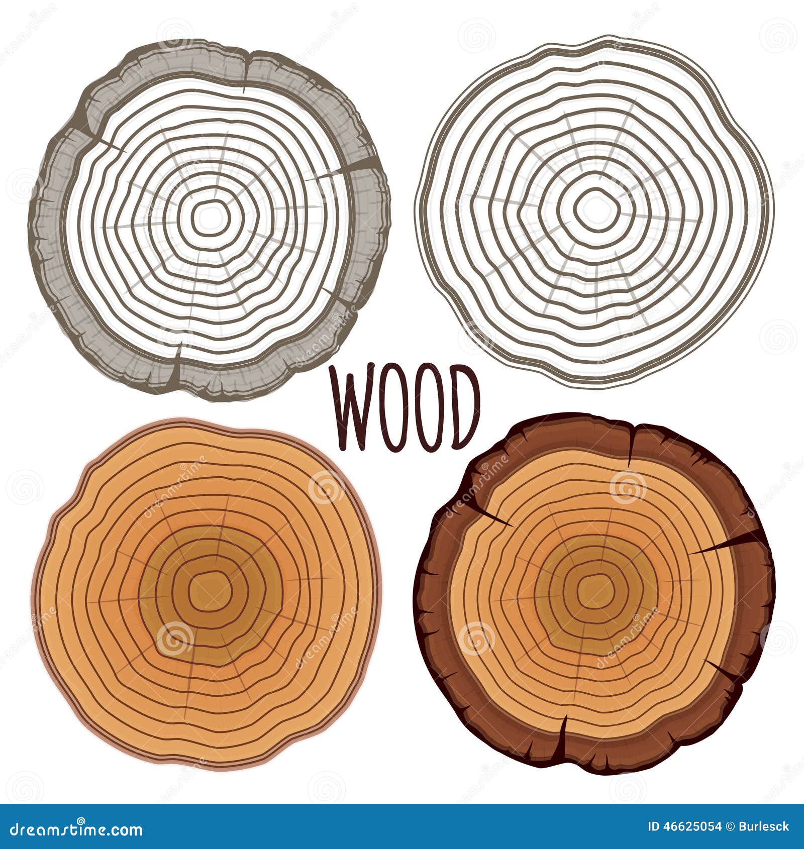 Tree ring clipart