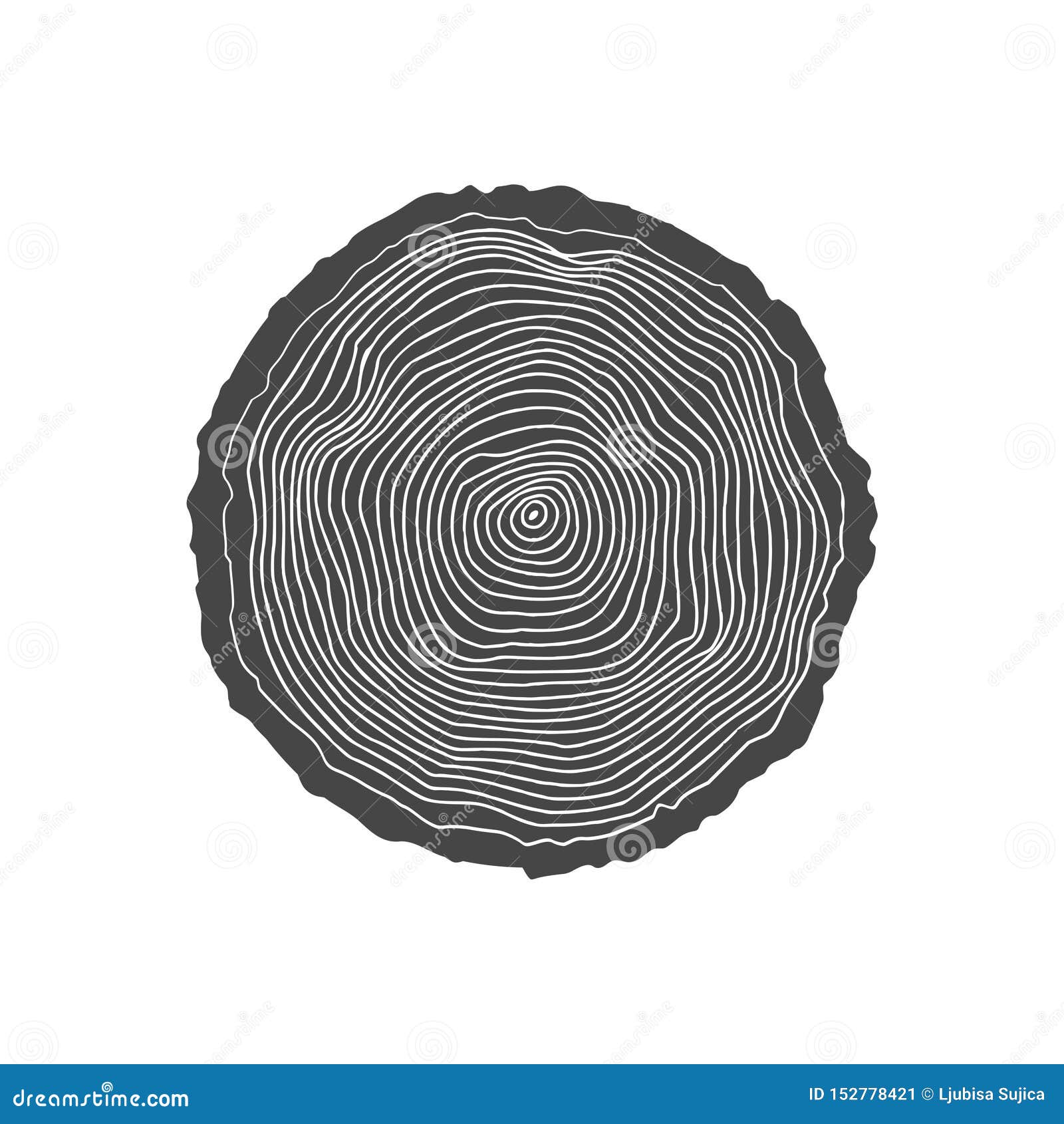 Vector Tree Rings Set, Flat Design - Illustration Stock Vector ...