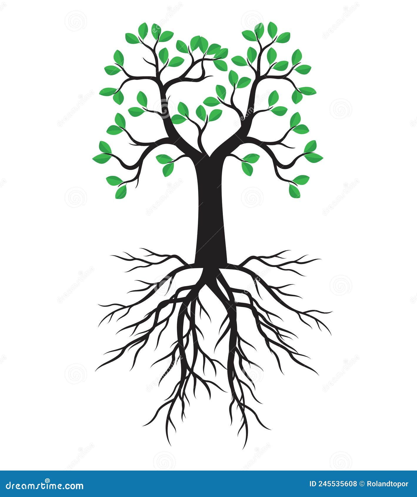 Vector Tree with Roots. Outline Illustration Stock Vector ...