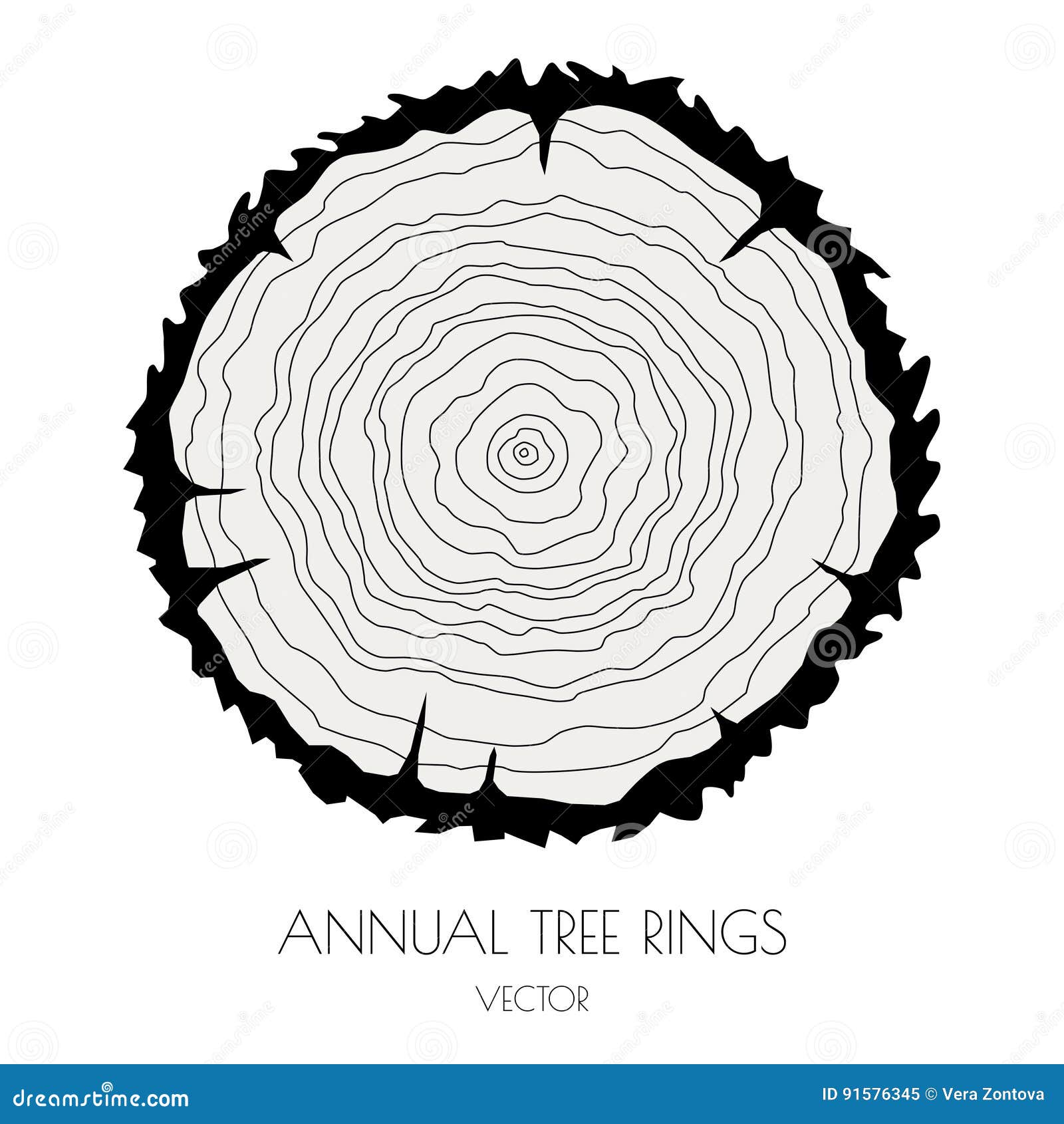 Annual Tree Growth Rings, Trunk Cross Section Vector Background ...