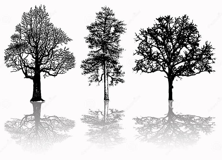 Vector trees stock vector. Illustration of outside, limb - 10048605