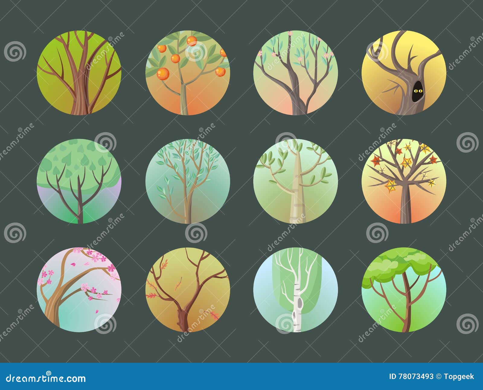 Vector Trees Set. Collection of Different Types Stock Vector ...