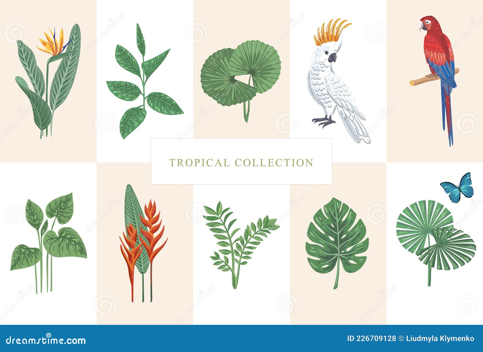 Vector tropical collection stock vector. Illustration of vector - 226709128