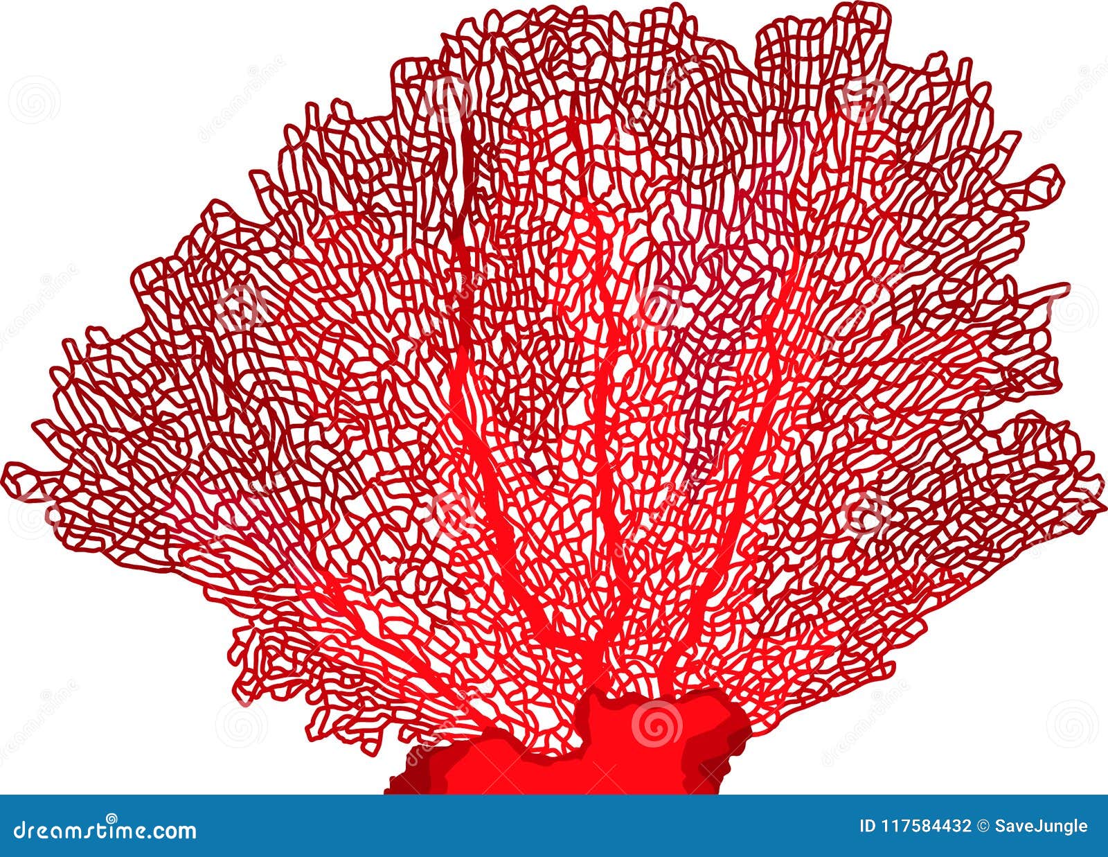 Vector Tropical Coral Isolated on White Stock Vector - Illustration of ...