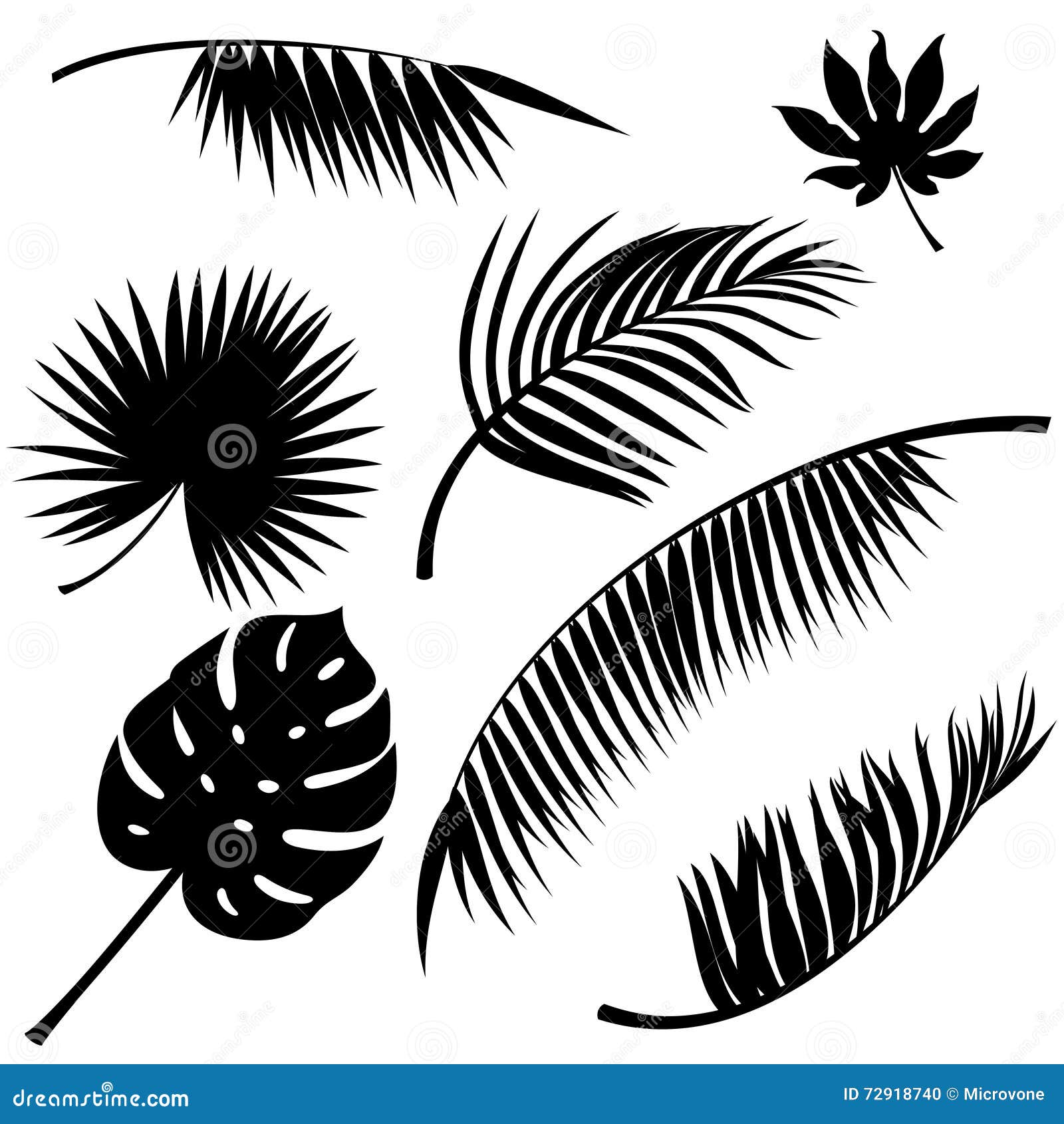 Vector Tropical De Las Hojas Ilustración del Vector - Ilustración de ...