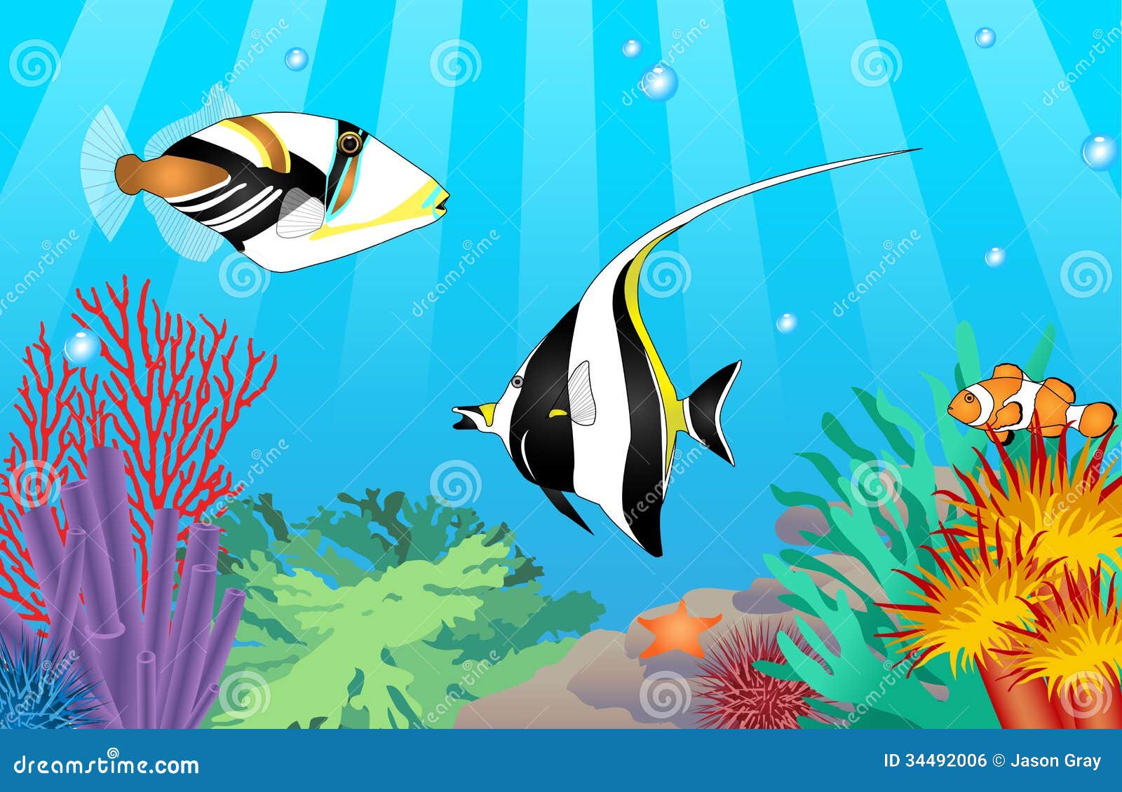 Vector tropical fish stock vector. Illustration of colors - 34492006