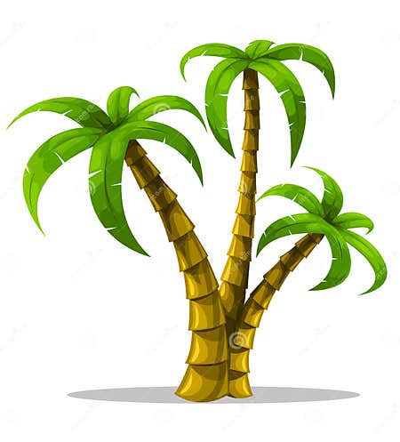 Vector Tropical Palm Trees Isolated on White Stock Vector ...