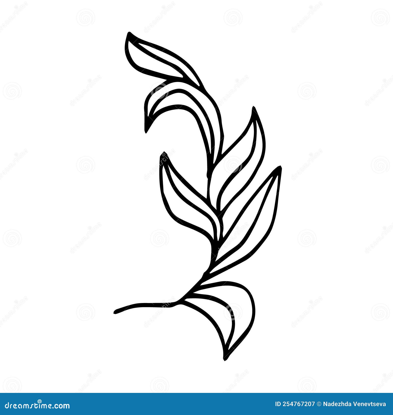 Vector Tropical Plant with Large Leaves. Stock Vector - Illustration of ...