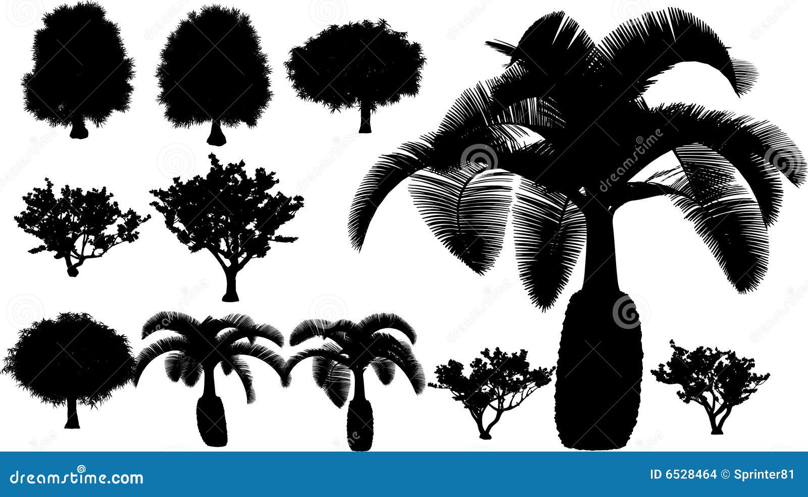 Vector tropical Tree stock vector. Illustration of grass - 6528464