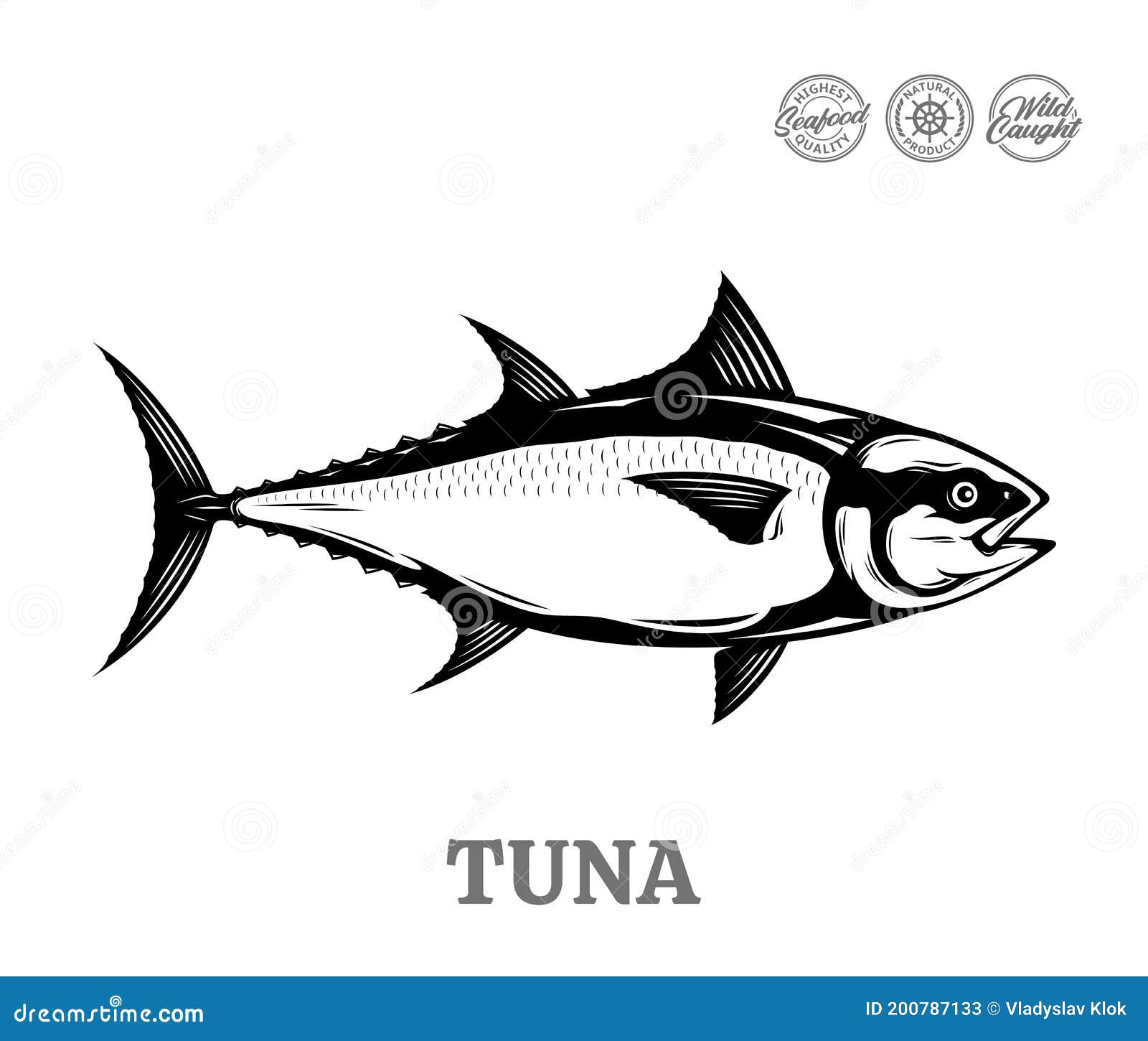 Vector Tuna Fish Illustration Stock Vector - Illustration of fishing ...