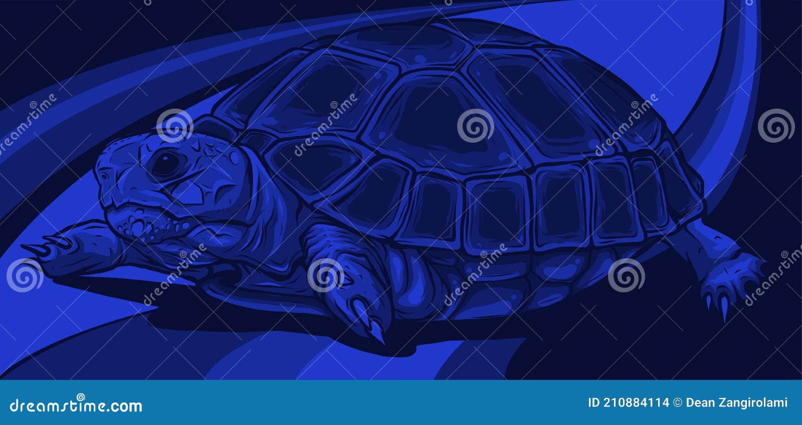 Cartoon Vector on Colored Background Turtle. Vector Stock Vector ...
