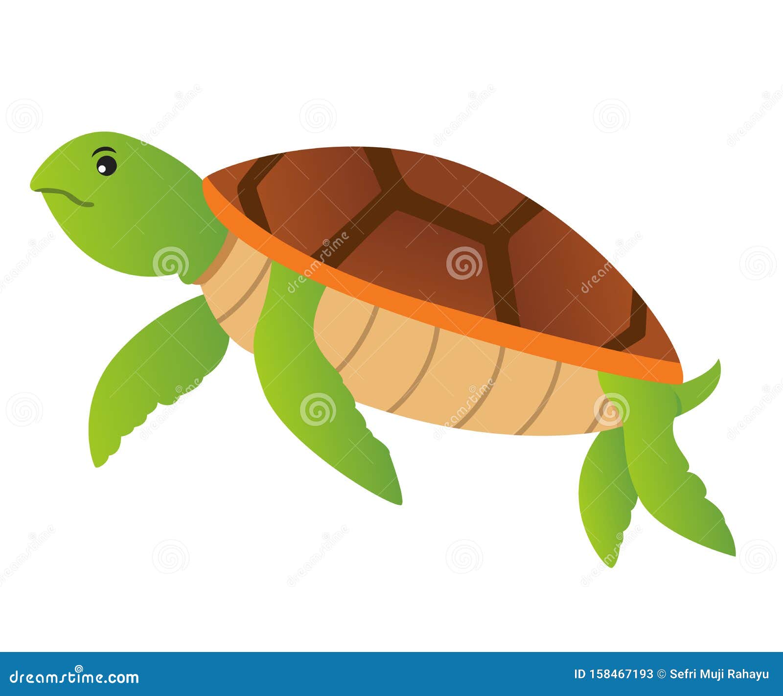 Vector Of Turtle Design On White Background. Easy Editable Layered ...