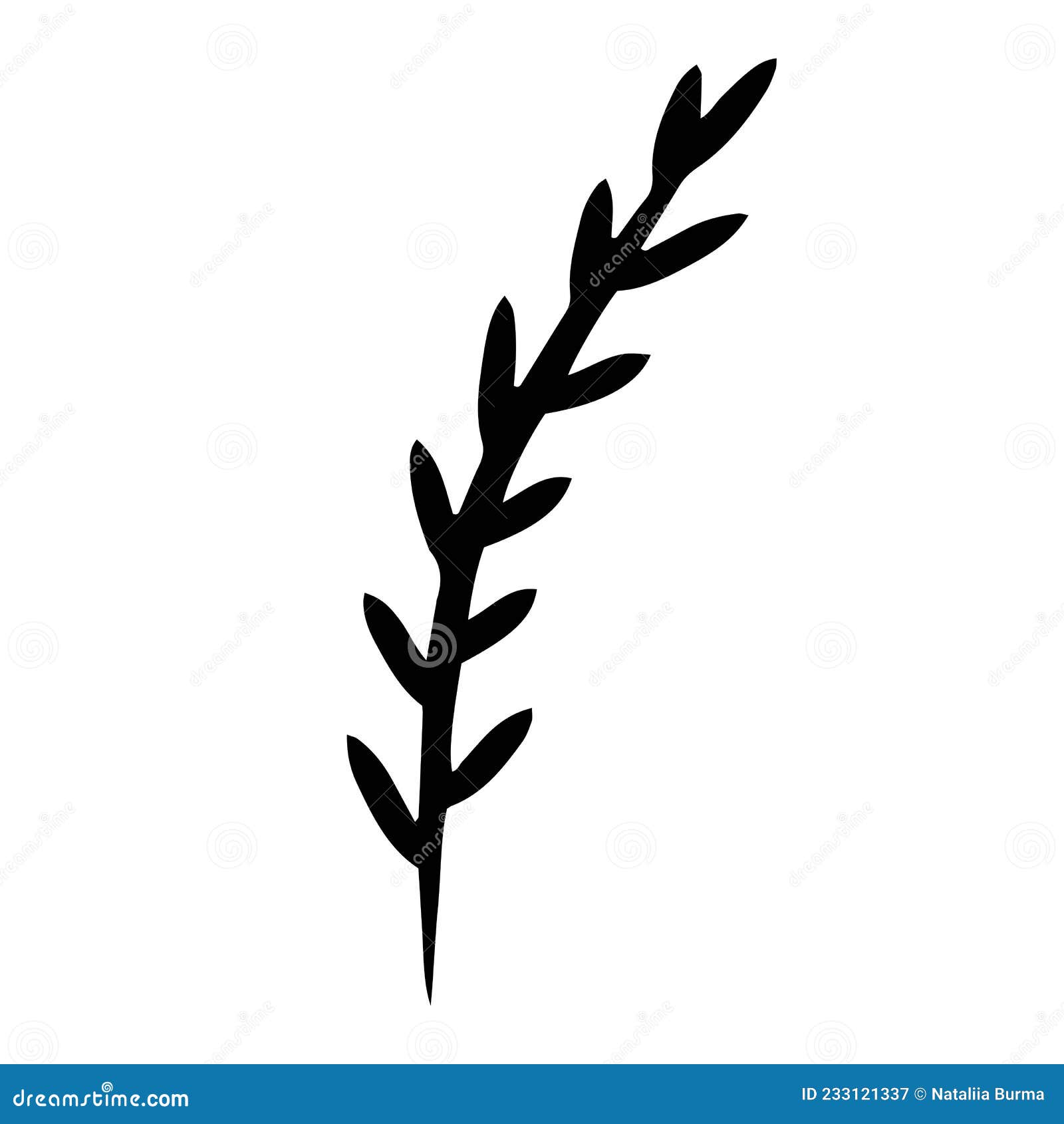 Vector Twig Illustration. Autumn Plant Clipart. | CartoonDealer.com ...