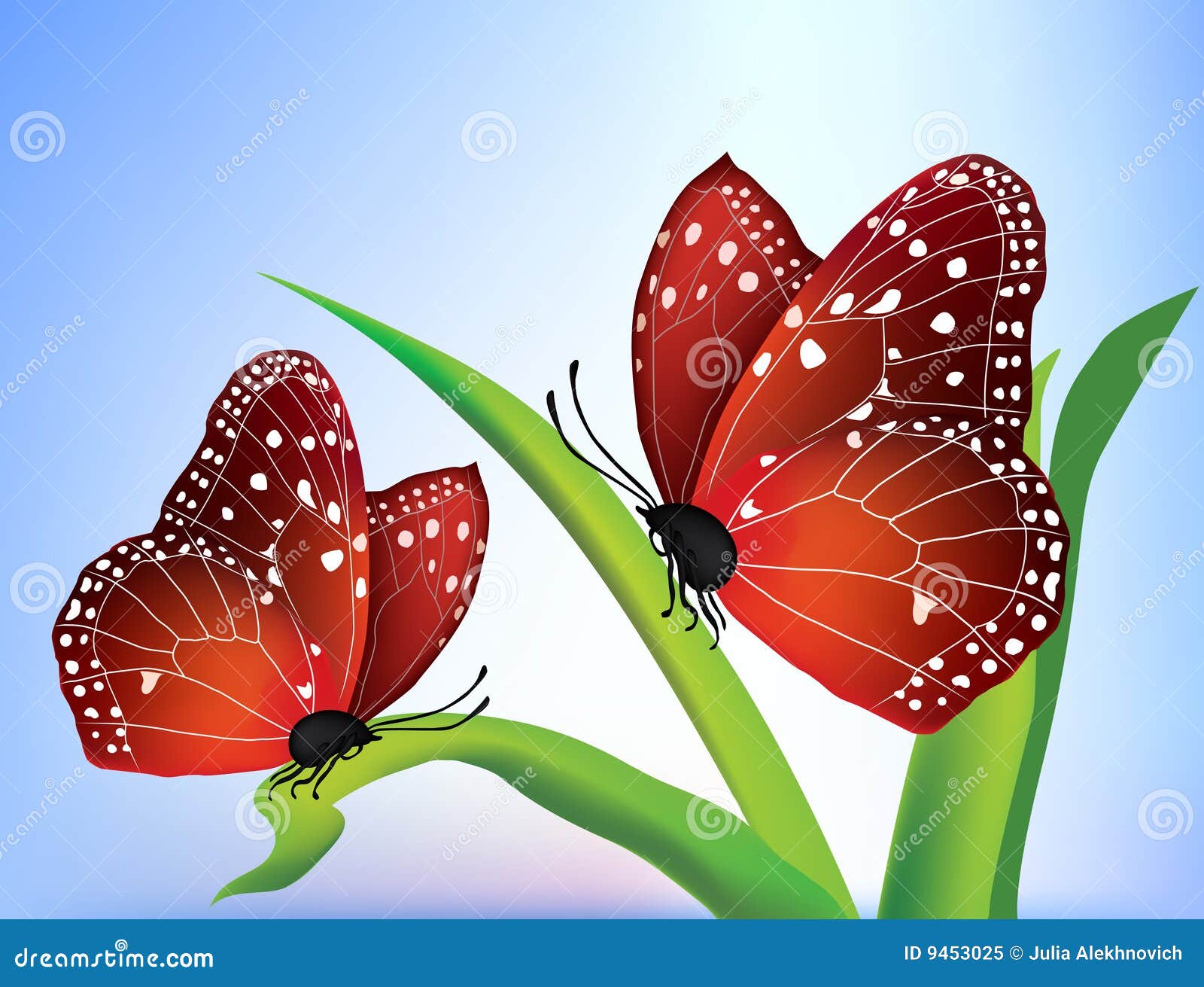 Vector two butterflies stock vector. Illustration of clip - 9453025