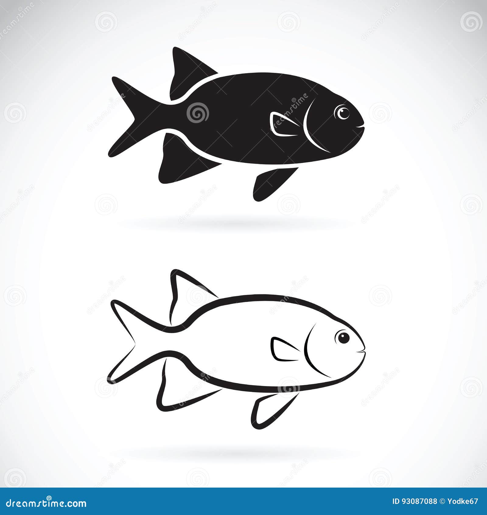 Vector of Two Fish on White Background. Stock Vector - Illustration of ...