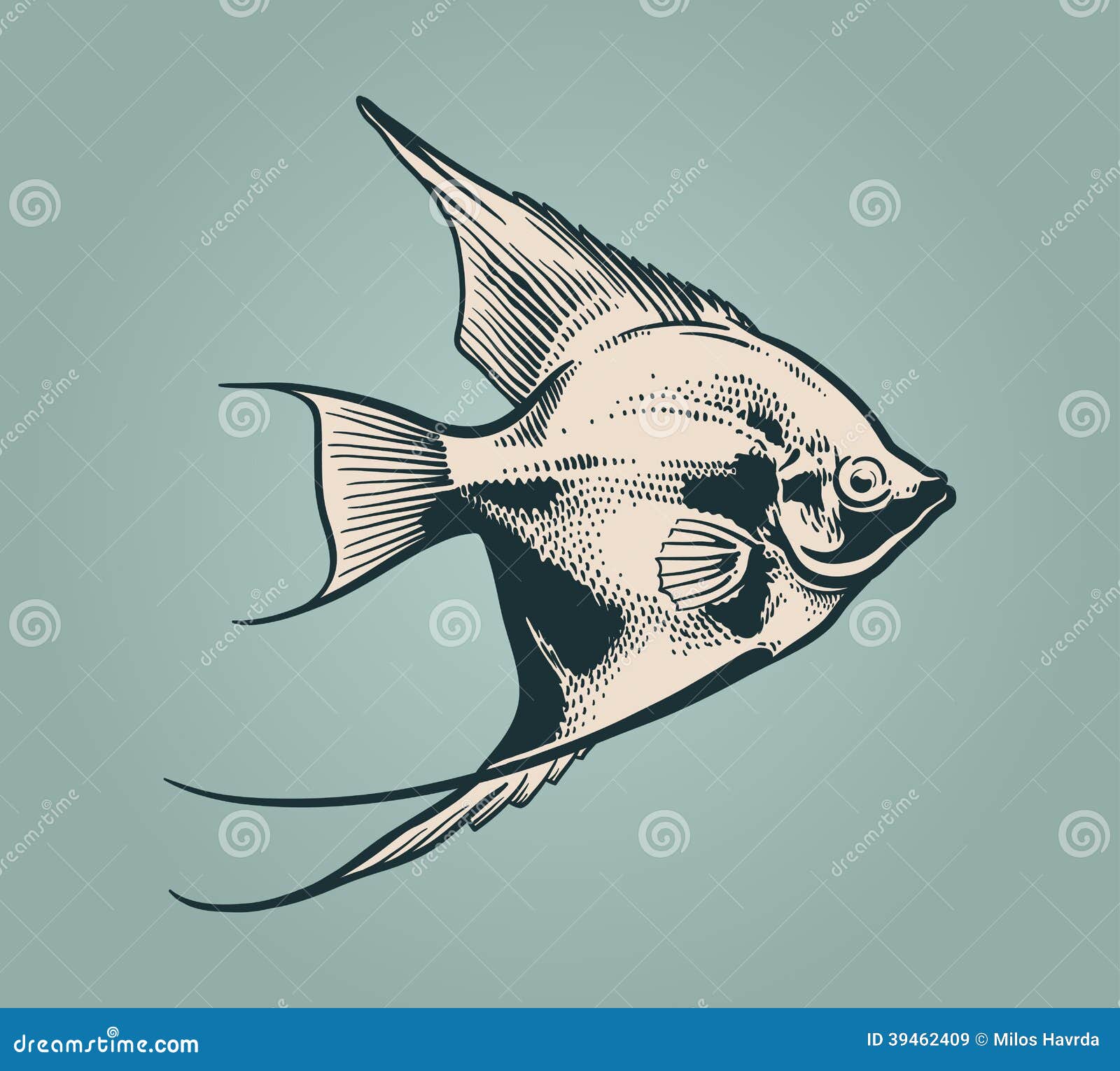 Vector Uitstekende Illustratie Van Vissen Vector Illustratie ...