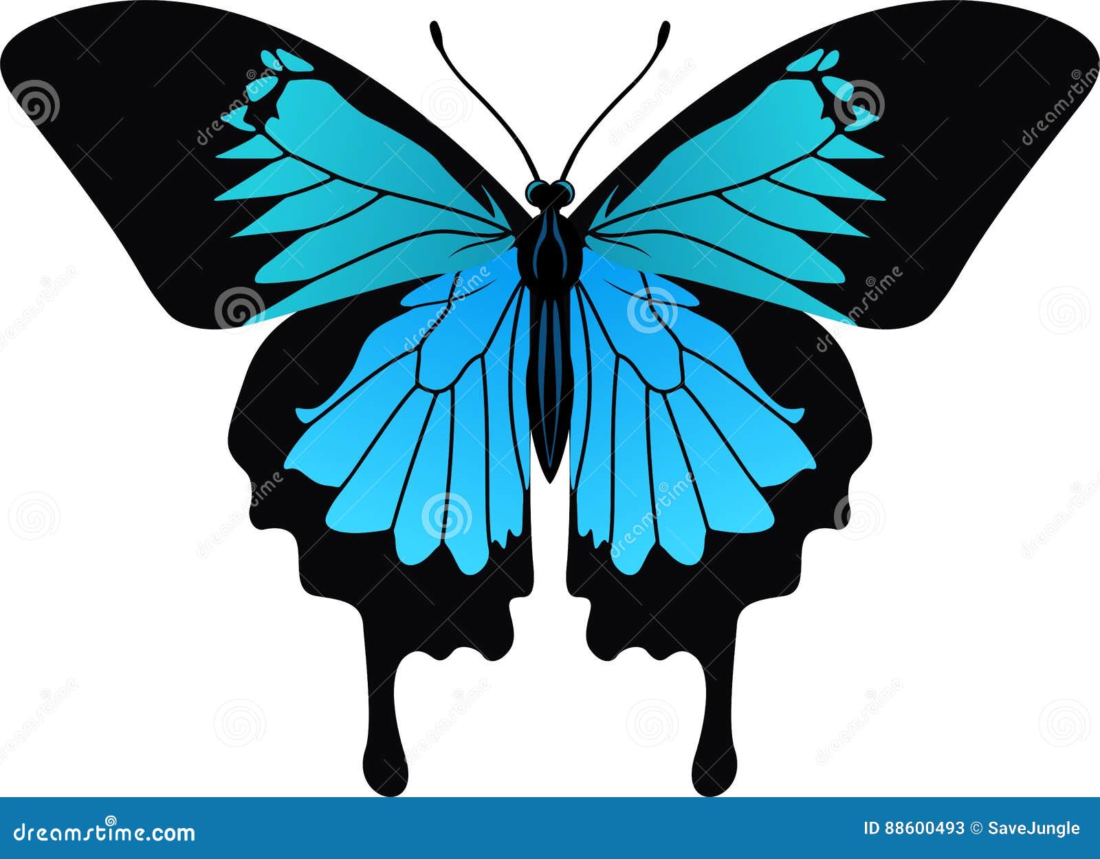 Ulysses Butterfly Outline Silhouette Generative Ai Cartoon Vector ...
