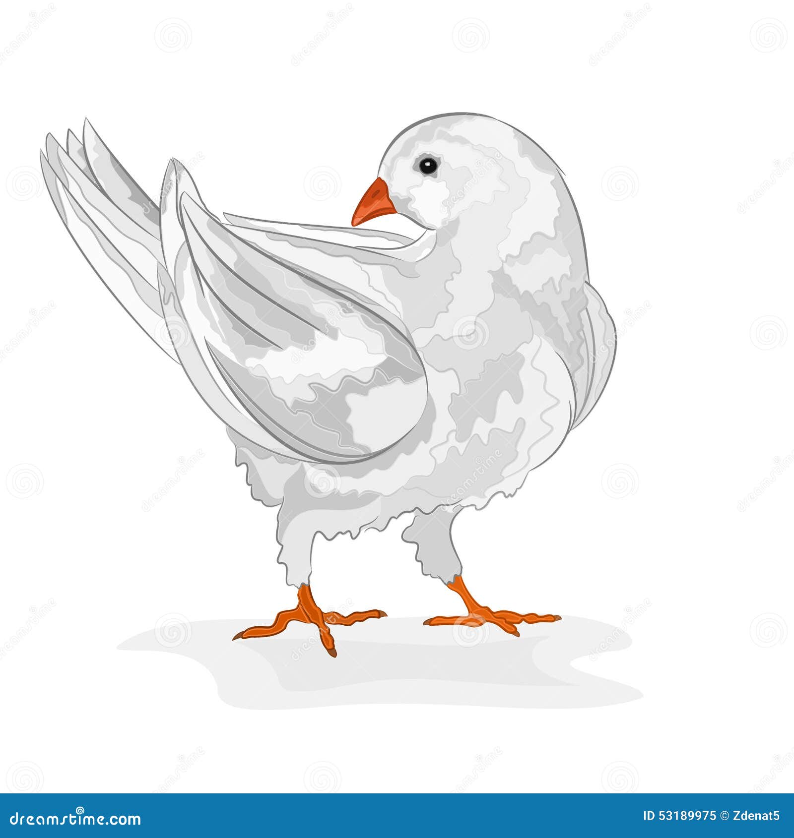 Vector Van De Duif De Witte Vogel Vector Illustratie - Illustration of ...