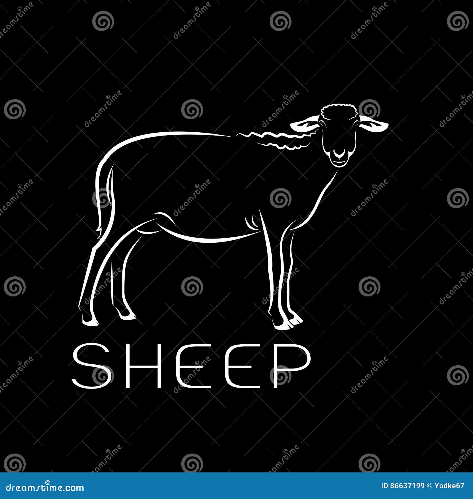 Vector Van Een Schaap Op Zwarte Achtergrond Vector Illustratie ...