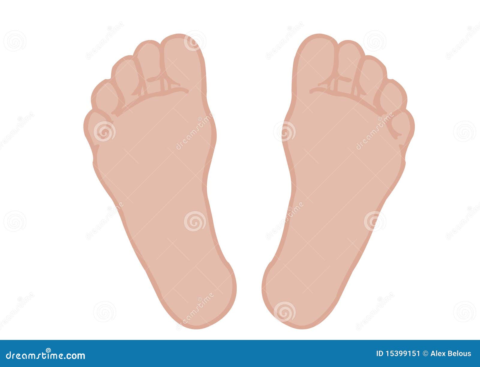 Vector Van Een Voet Voeten Op Een Witte Achtergrond Vector Illustratie ...