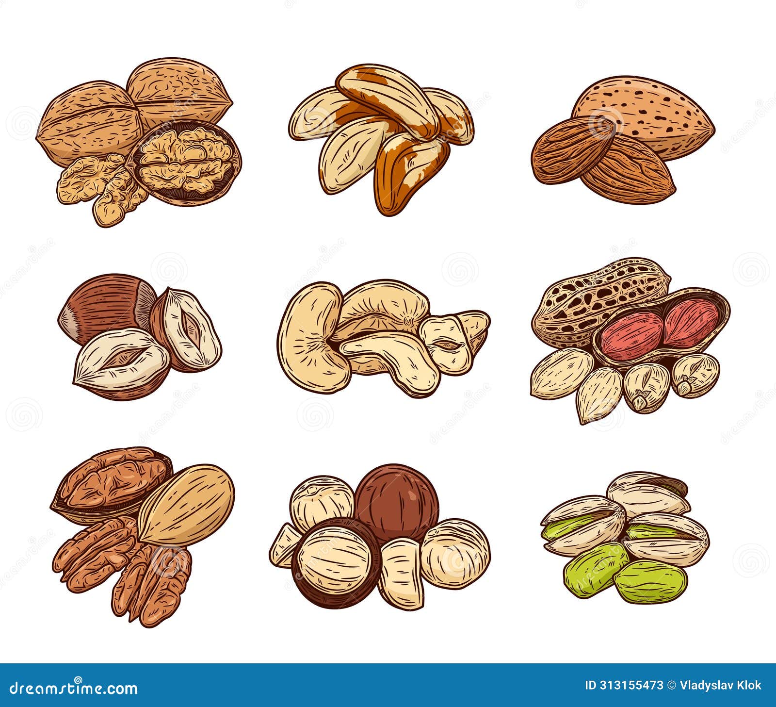 Vector Various Nuts Colorful Illustration Stock Vector - Illustration ...