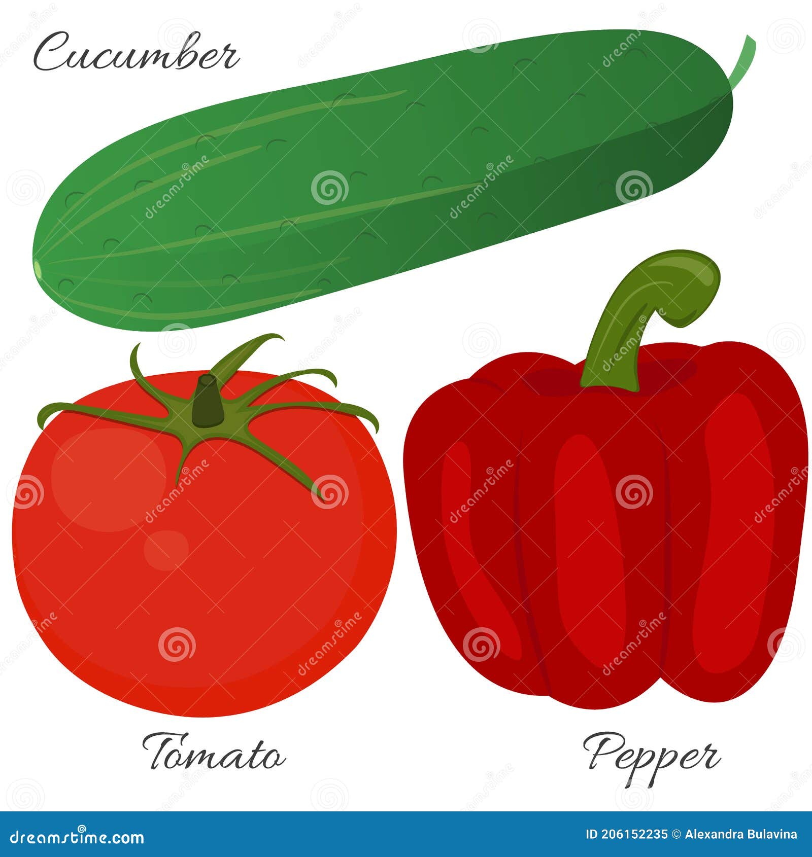 Vector Vegetables Set with Cucumber, Tomato, Pepper Stock Illustration ...