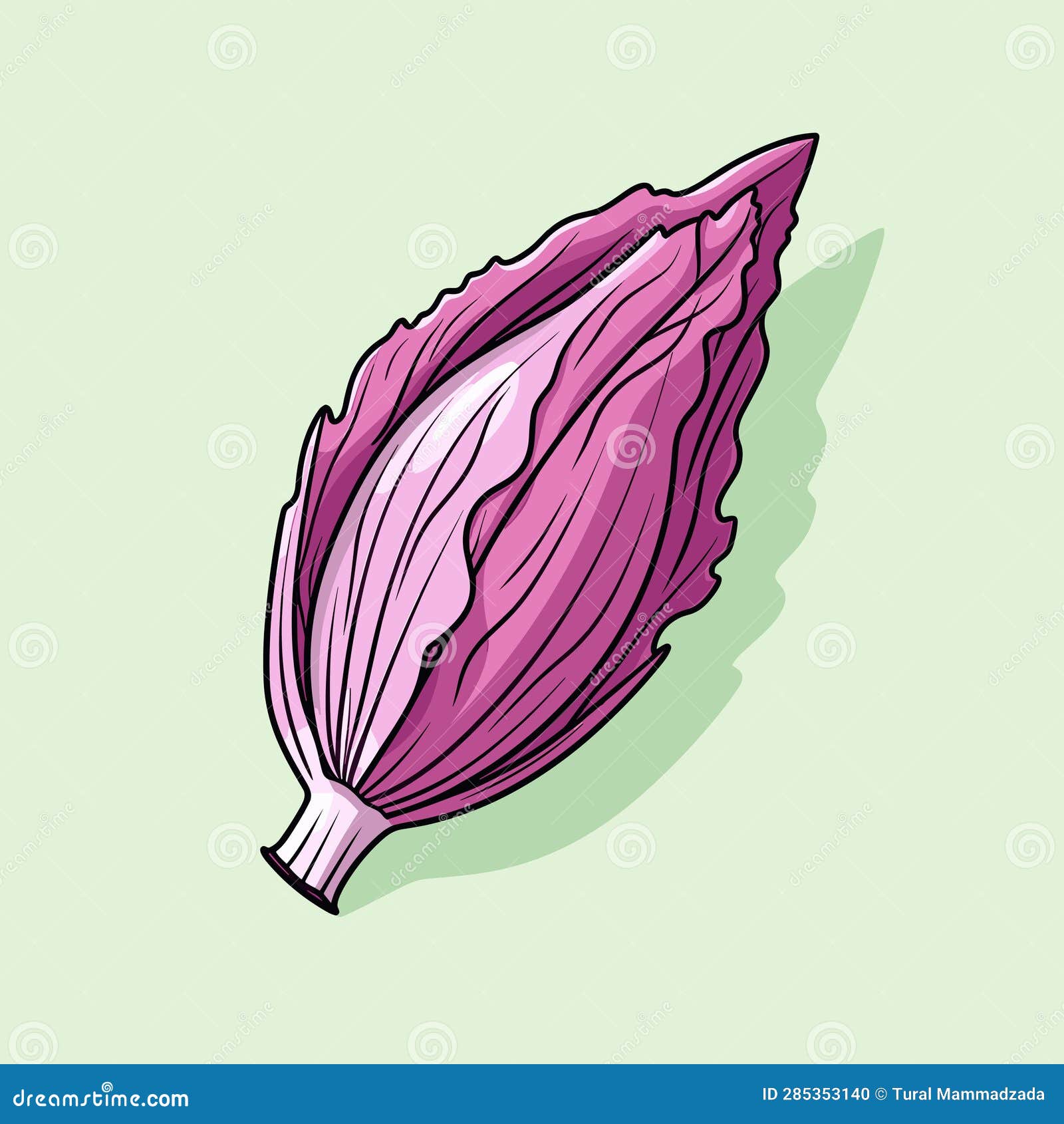 Vector of a Vibrant Purple Cabbage on a Vivid Green Background Stock ...