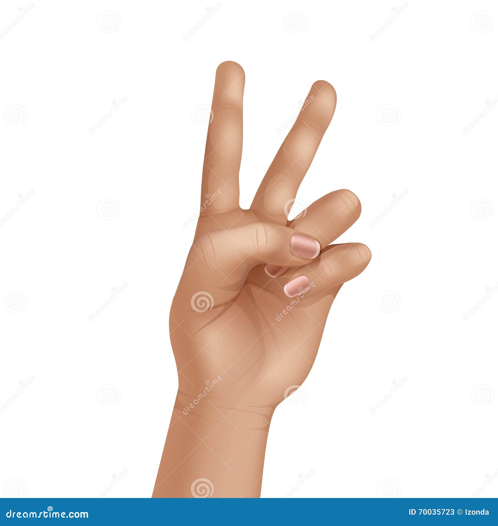 Vector Victory Peace Sign Gesture Hand on White Background Stock Vector ...