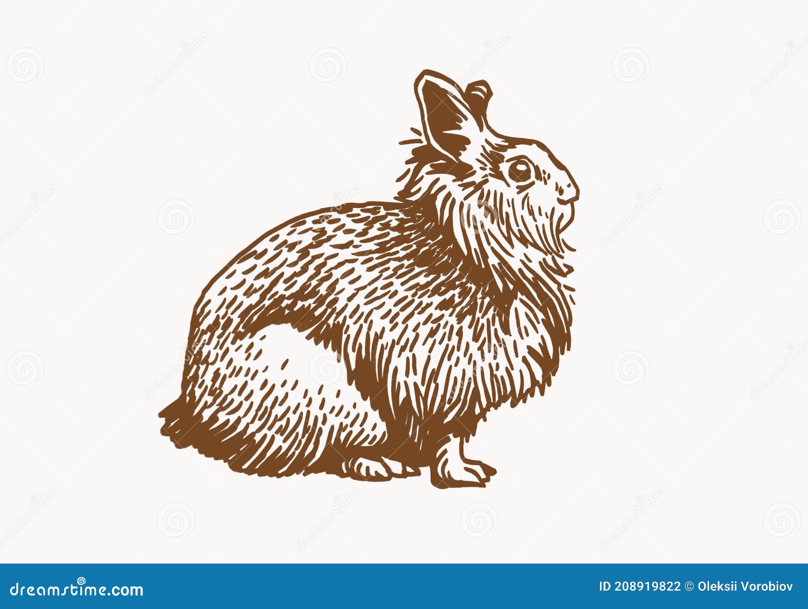 Vector Vintage Illustration of Bunny , Graphical Drawing Stock Vector ...
