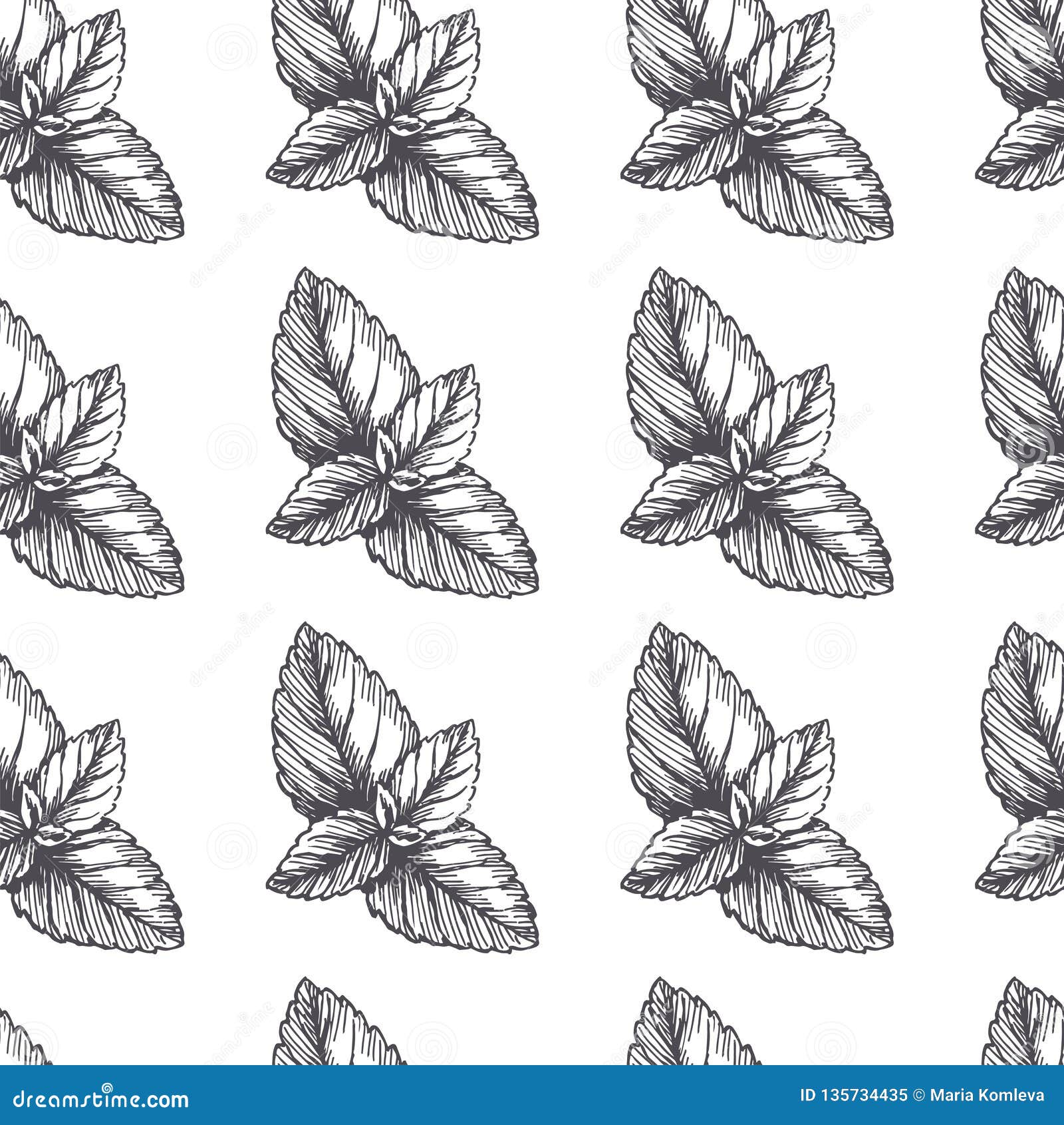 Vector Vintage Seamless Pattern with Mint Leaves in Engraving Style ...