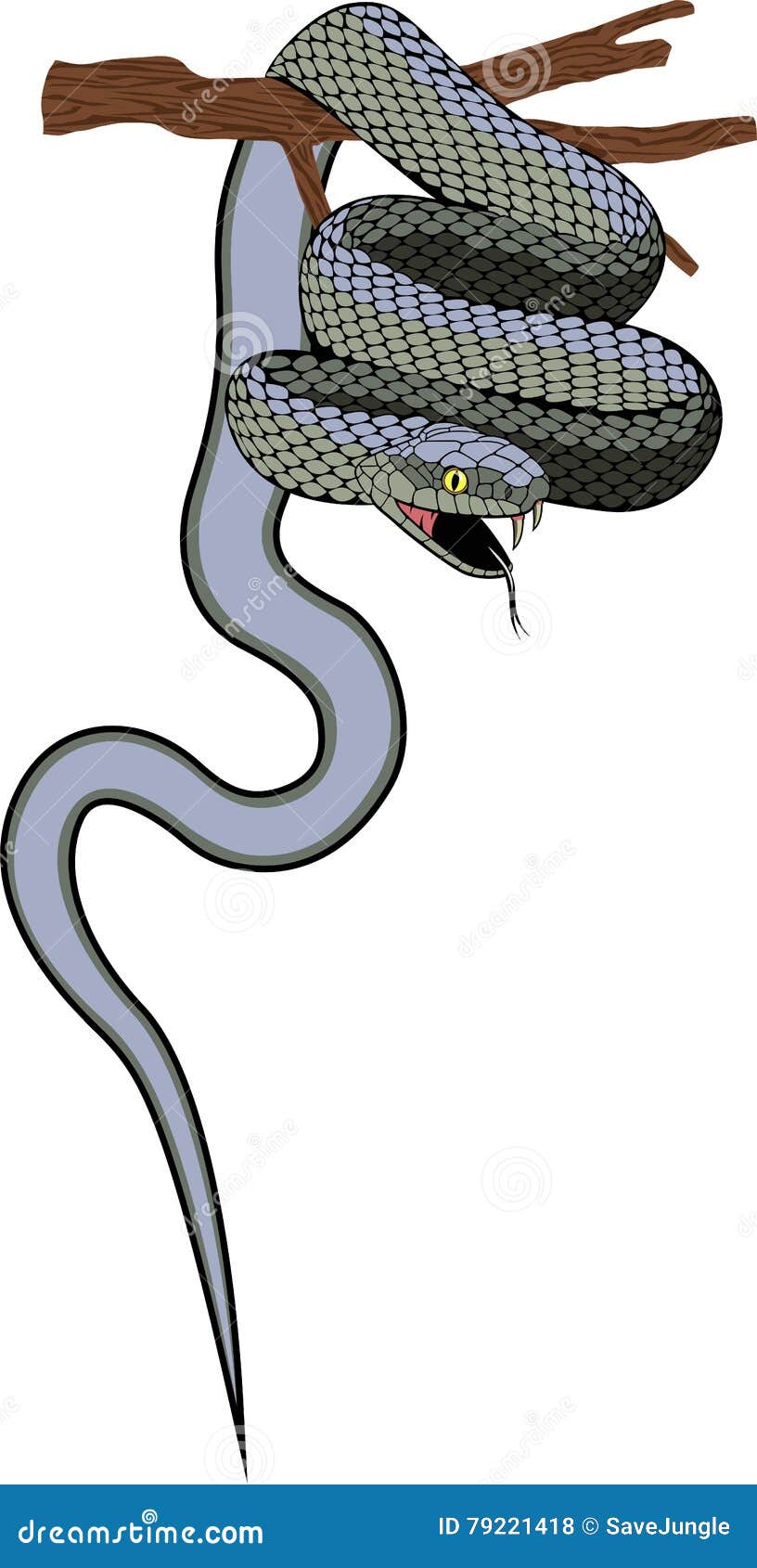 Vector viper snake stock vector. Illustration of nature - 79221418