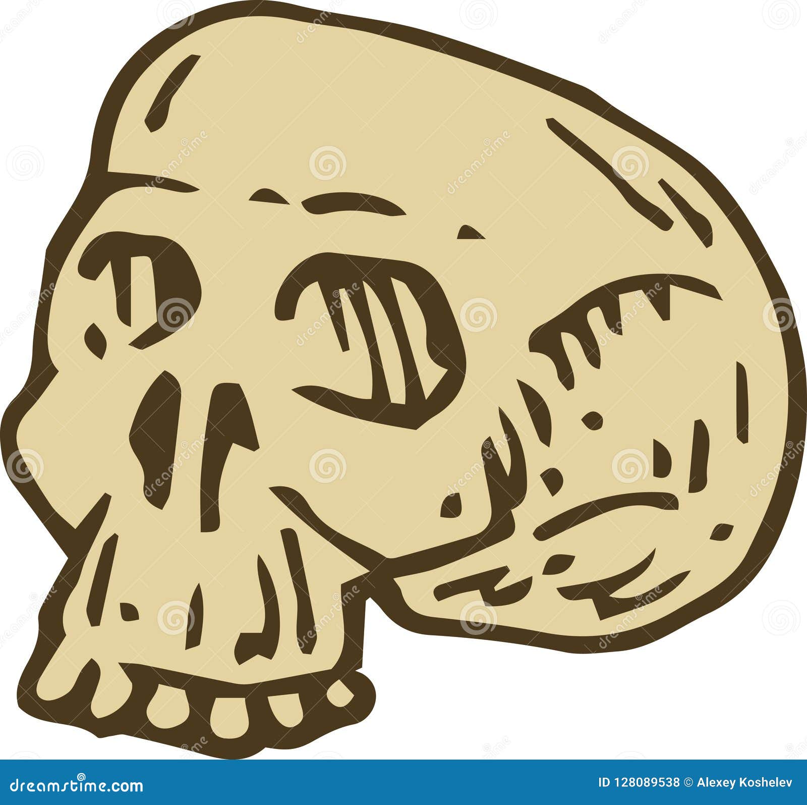 Voodoo Skull Drawing