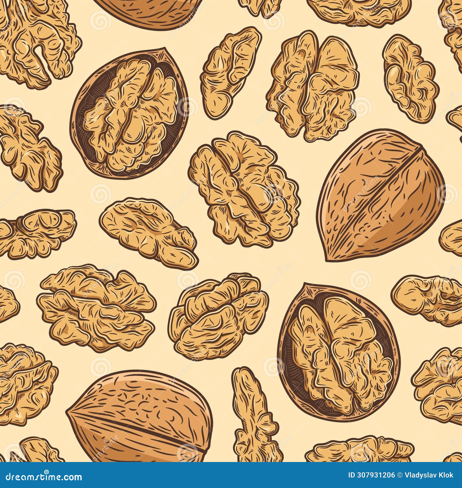 Vector Walnut Colorful Seamless Pattern Stock Vector - Illustration of ...