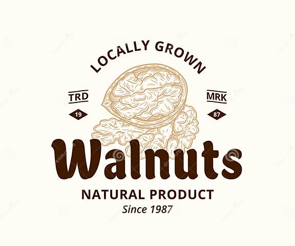 Vector walnut label design stock illustration. Illustration of nutshell ...
