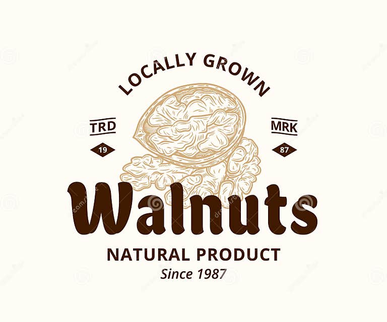 Vector walnut label design stock illustration. Illustration of nutshell ...