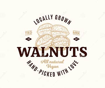 Vector walnut label design stock vector. Illustration of superfood ...