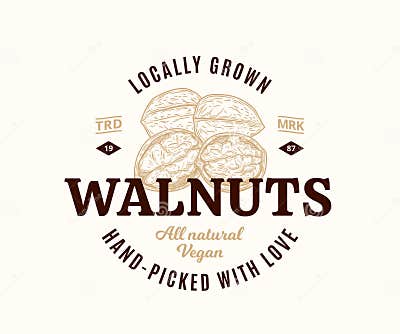Vector walnut label design stock illustration. Illustration of ...