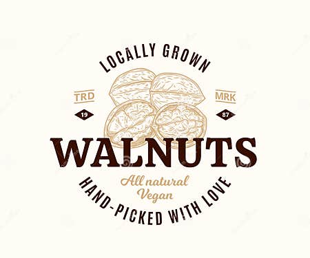 Vector walnut label design stock vector. Illustration of superfood ...