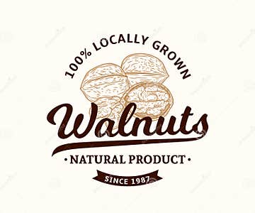 Vector walnut label design stock illustration. Illustration of plant ...