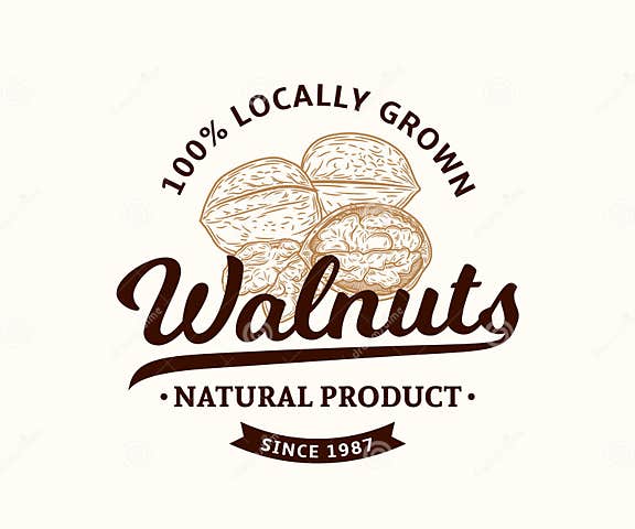 Vector walnut label design stock illustration. Illustration of plant ...