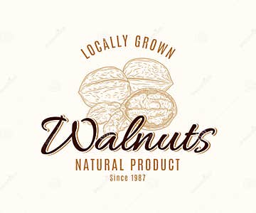 Vector walnut label design stock illustration. Illustration of walnuts ...