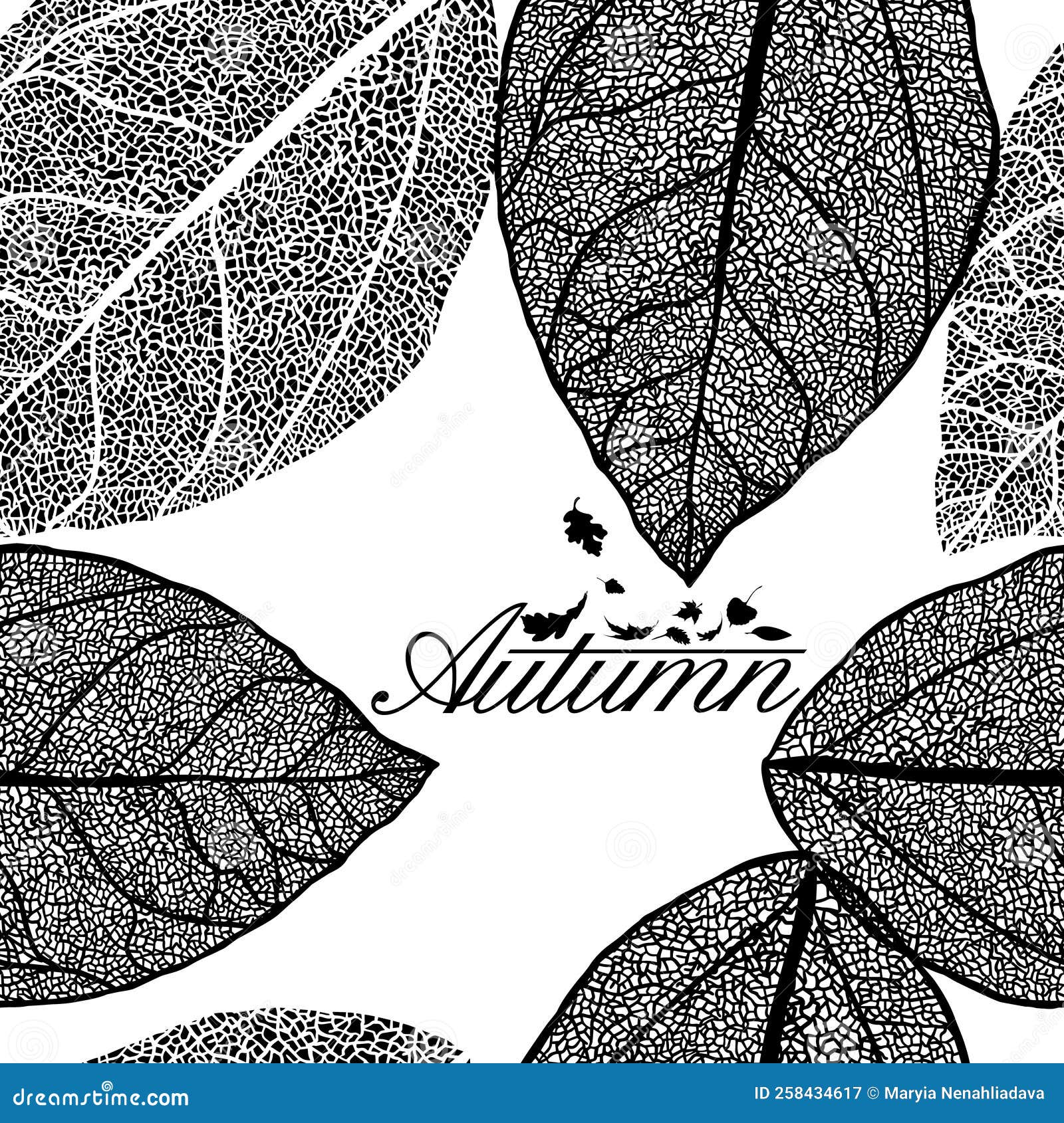 Frame with Skeletonized Leaves. Vector Illustration Stock Illustration ...